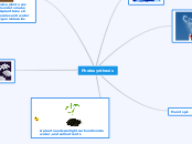Photosynthesis - Mind Map